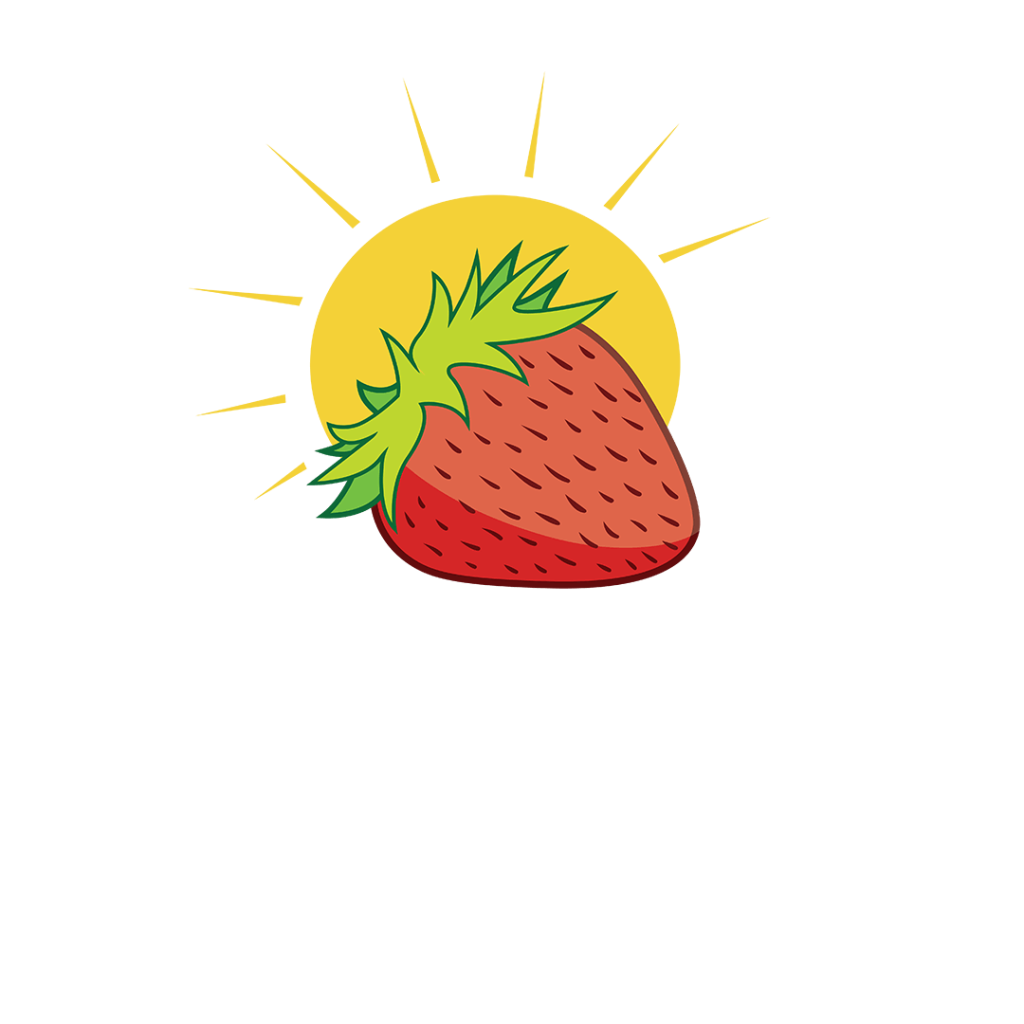 Michigan's Top Solar Installation Solution | Strawberry Solar